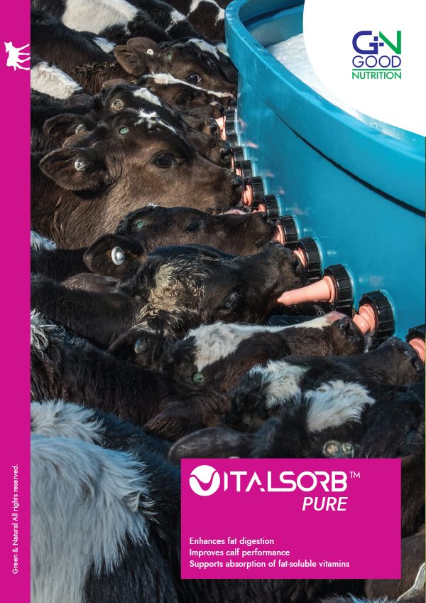 MOOFAT – Increase Milk Production - GN Good Nutrition